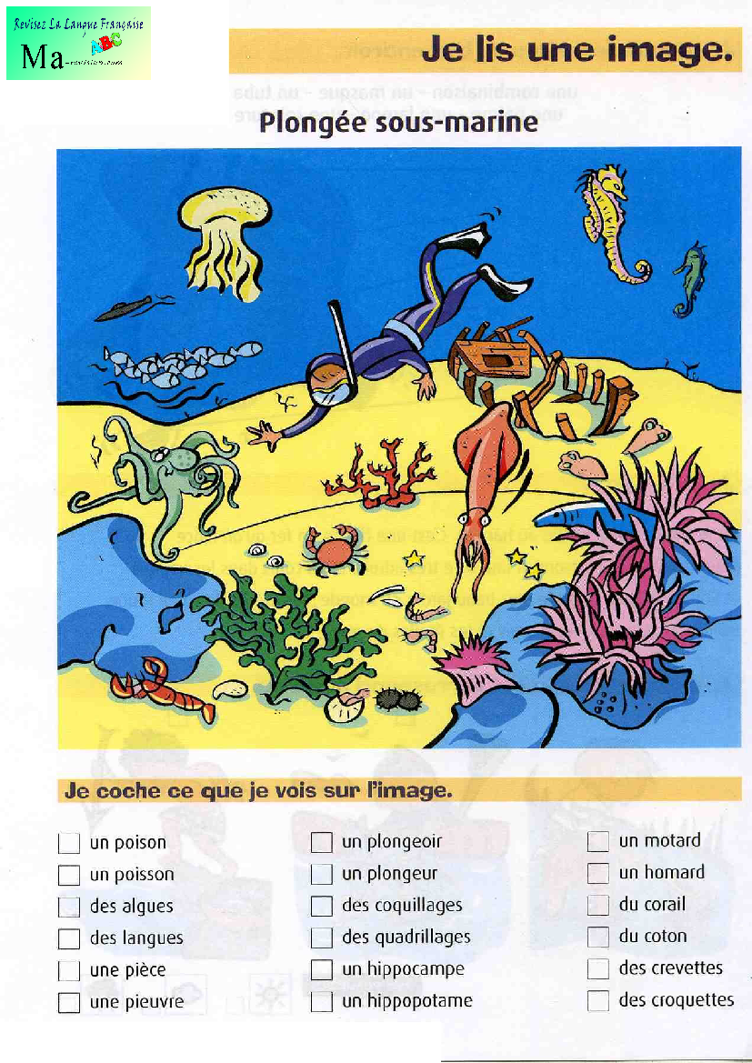 'ma-revision.com 'lire-une-image-plongé-sous-marine