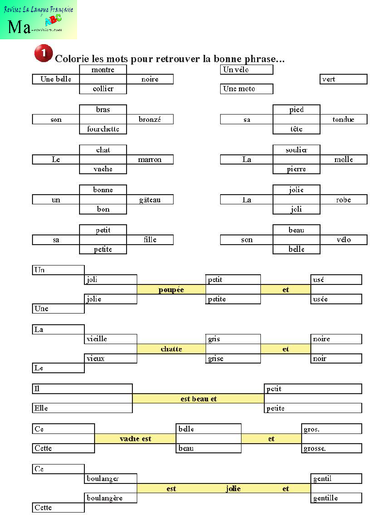 'ma-revision.com 'le-masculin-et-le-feminin-orthographe-ma-revision.com