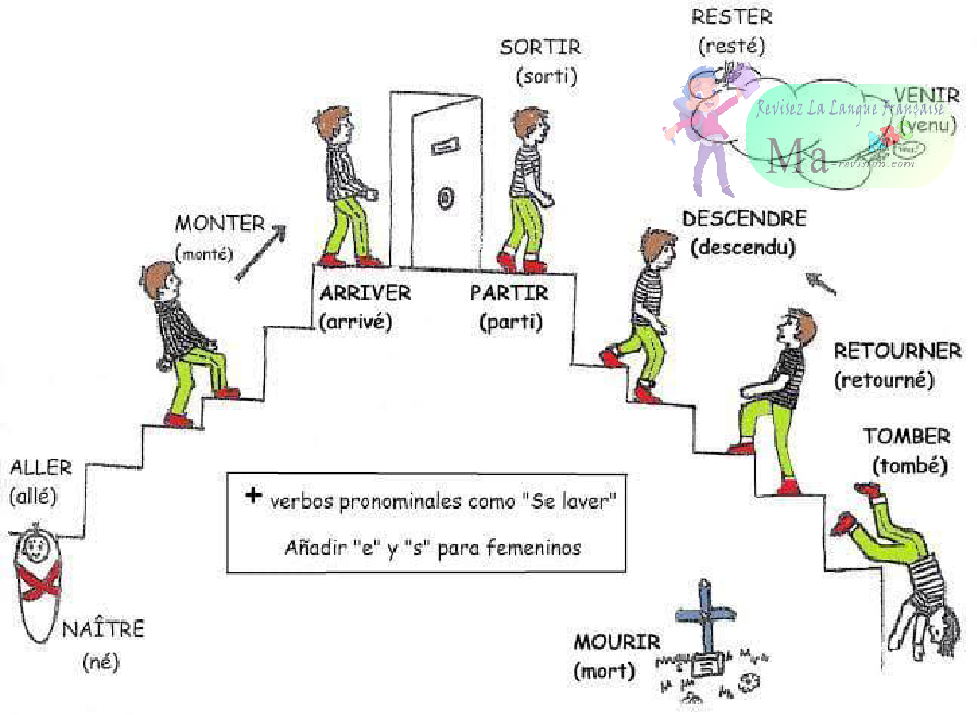 'ma-revision.com 'verbes-conjugues-avec-être-passe-compose