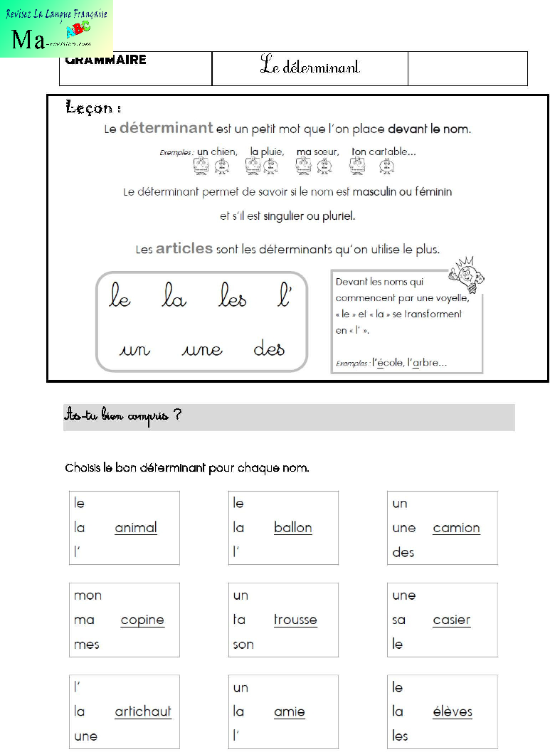 'ma-revision.com 'le-determinant-grammaire-ma-revision.com