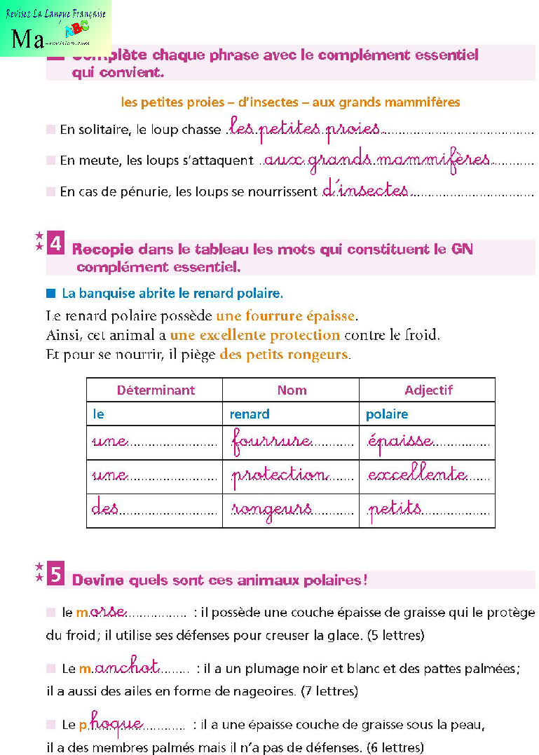 'ma-revision.com 'connaitre-les-complements-essenciels-du-verbe-COD-et-COI