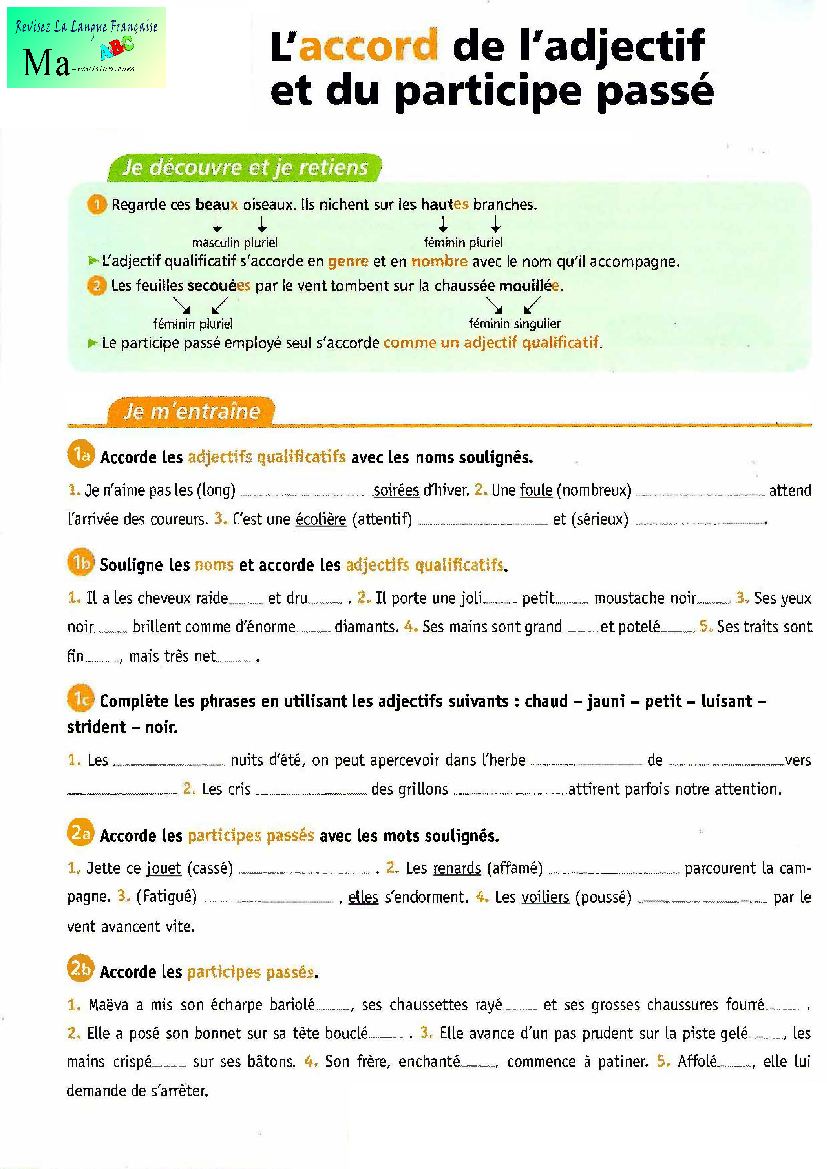 'ma-revision.com 'l-acccord-de-l-adjectif-et-du-participe-passé ...