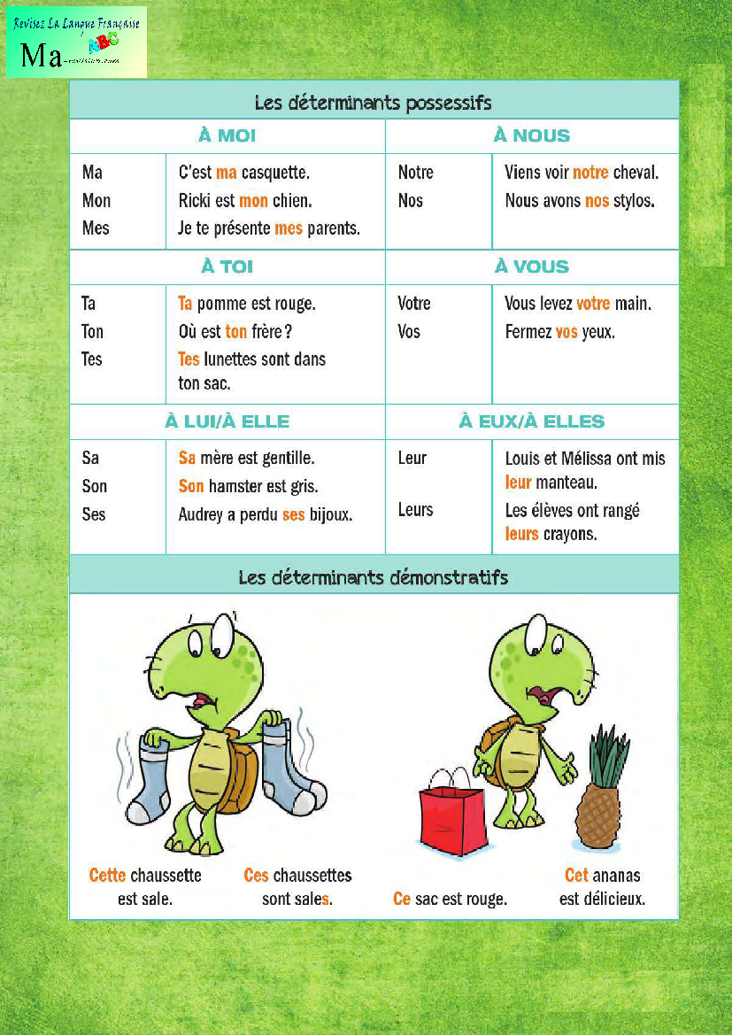 'ma-revision.com 'les-determinants-grammaire-ma-revision.com