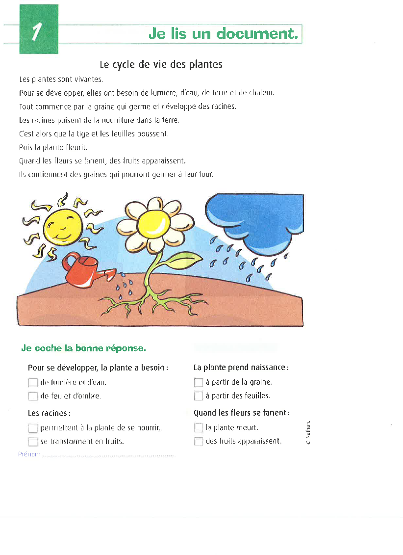 'ma-revision.com 'fishes de lecture je lis seul tu lis seule cp ce1 ma ...